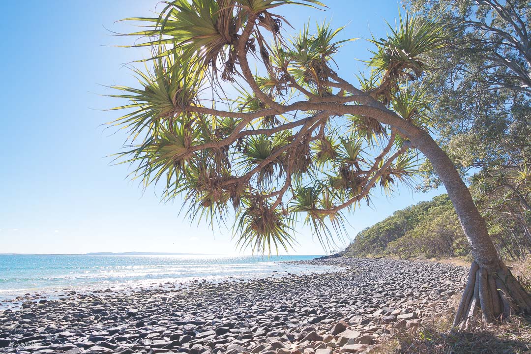 Noosa Photography Print - Tea Tree bay - Sunshine Coast Photography ...