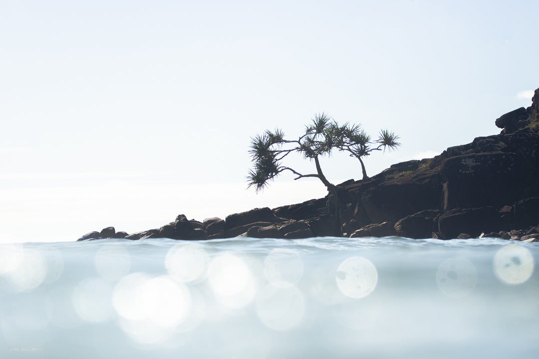Surf Photography Tea Tree Bay - Noosa - Sunshine Coasr – Josh Whiting ...