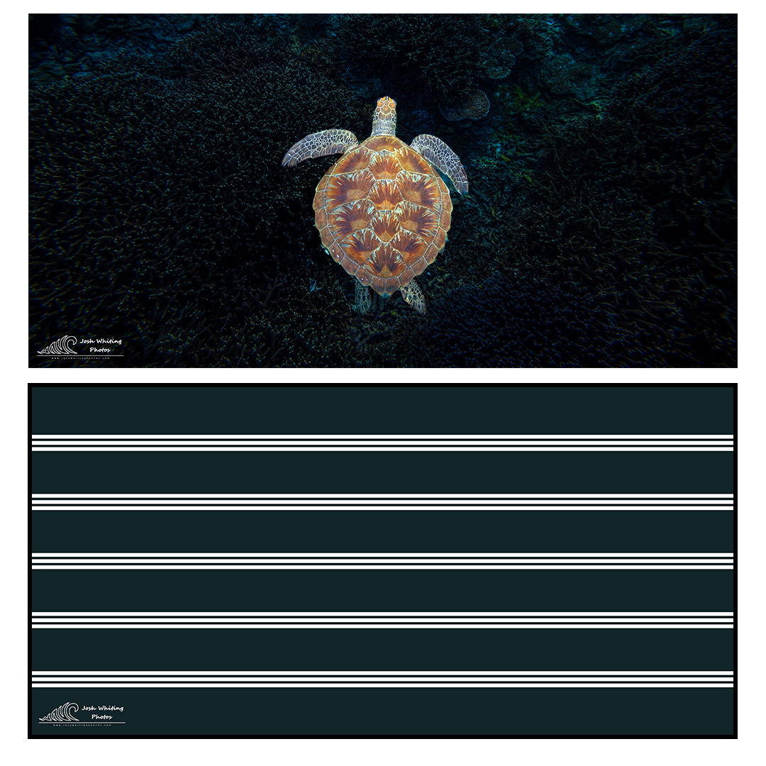 Sand Free Eco Beach Towel - Great Barrier Reef Turtle Edition – Josh ...